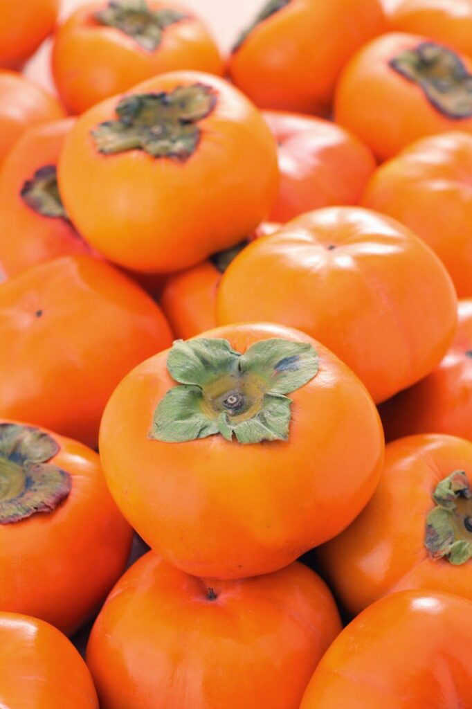 Persimmons - Gaia Produce